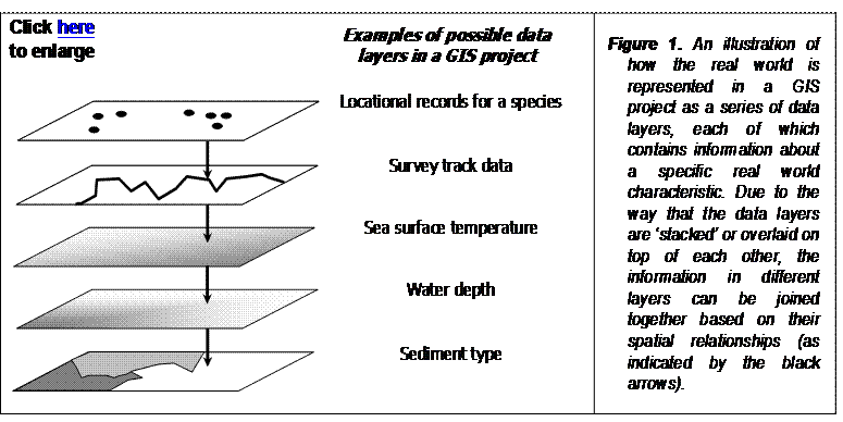 What is GIS? – GIS In Ecology